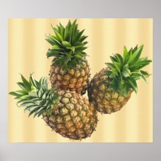 Pineapple Art, Posters & Framed Artwork | Zazzle.co.uk