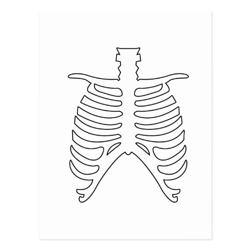 Skeleton Rib Cage Postcards Postcard Template Designs Zazzle