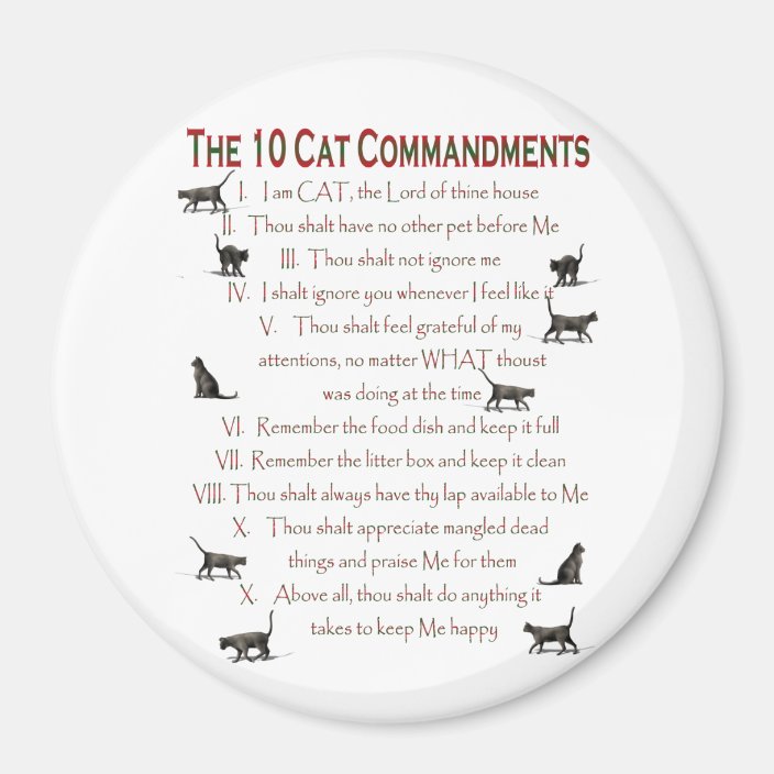 10 CAT Commandments Magnet | Zazzle.co.uk