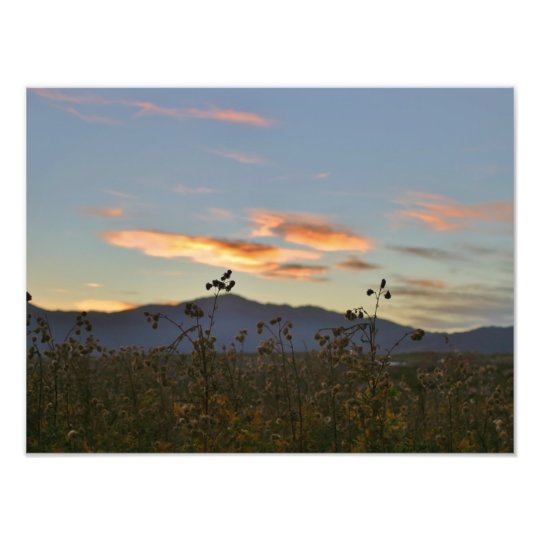 16x12 photo print | Zazzle.co.uk