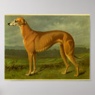 Greyhound Art Print | Zazzle.co.uk