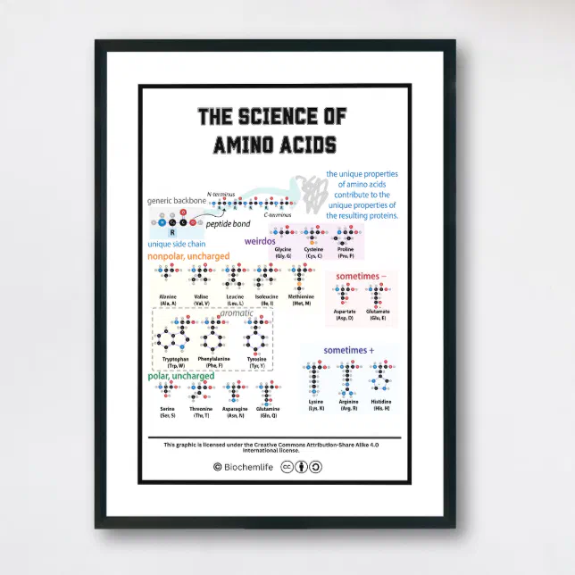 20 amino acids with its characteristics poster | Zazzle