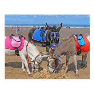 British Seaside Postcards | Zazzle.co.uk