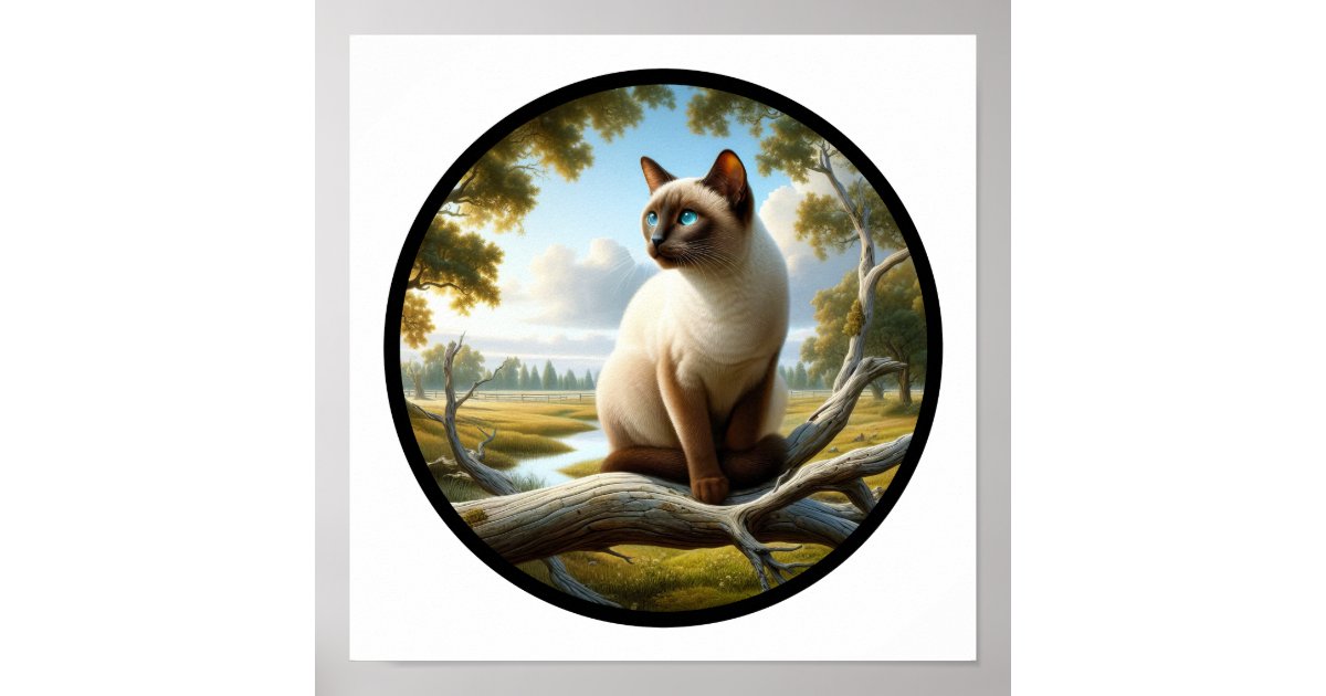 A Circular 3D Image of a Beautiful Siamese Cat Poster | Zazzle