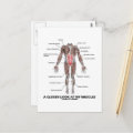 A Closer Look At My Muscles (Anatomy / Anatomical) Postcard | Zazzle