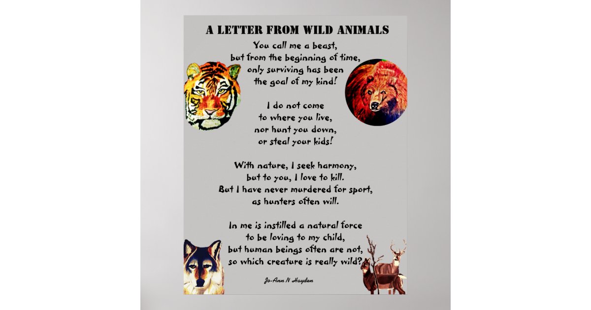 A LETTER FROM WILD ANIMALS poster | Zazzle