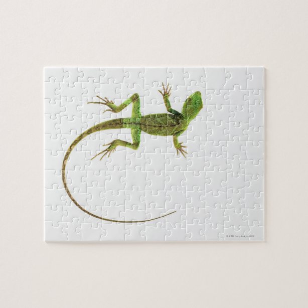Lizard Jigsaw Puzzles | Zazzle.co.uk