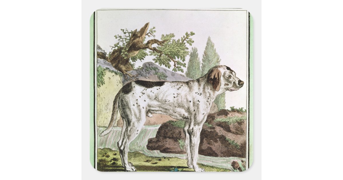 A Pointer, illustration from 'Histoire Square Sticker | Zazzle