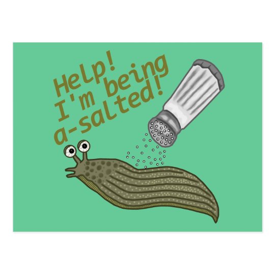 A Salted Slug Pun Funny Animal Joke Postcard | Zazzle.co.uk