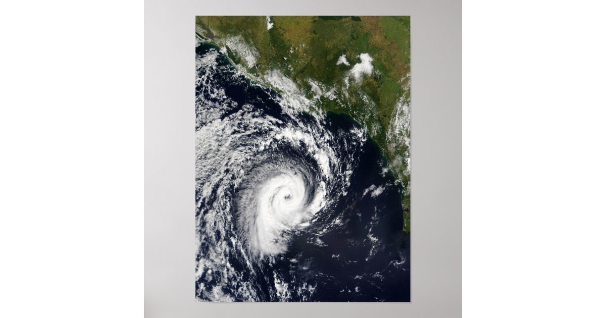 A tropical cyclone poster | Zazzle