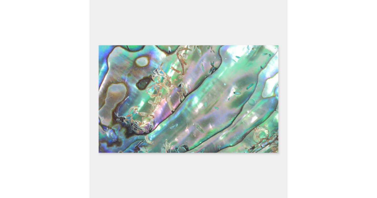 Abalone Rectangular Sticker | Zazzle