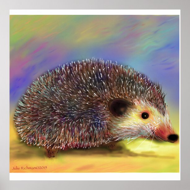 Hedgehog Posters & Prints | Zazzle UK