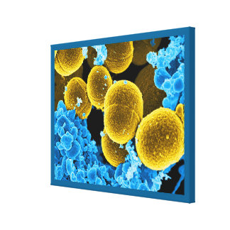 Microbiology Art, Microbiology Paintings & Framed Artwork by ...