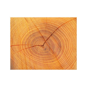 Cross Section Posters & Prints | Zazzle UK
