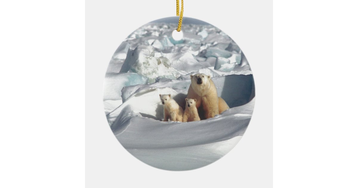 Add SLOGAN to Save Arctic Polar Bears Planet Ice Ceramic Tree ...