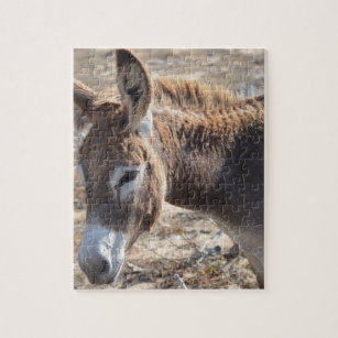 Donkey Jigsaw Puzzles | Zazzle.co.uk