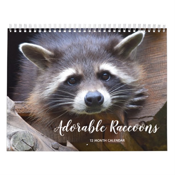 Raccoon Gifts & Gift Ideas | Zazzle UK