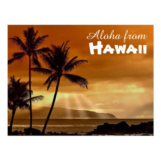 Aloha from Hawaii Postcard | Zazzle.co.uk