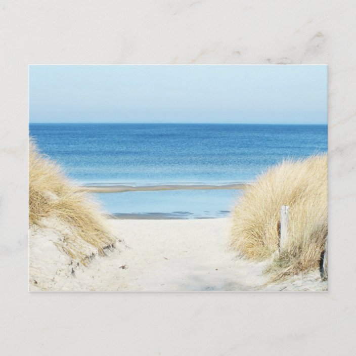 am strand postcard | Zazzle.co.uk