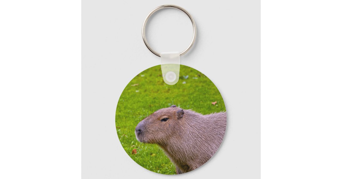 Amazing Animal Capybara Key Ring | Zazzle