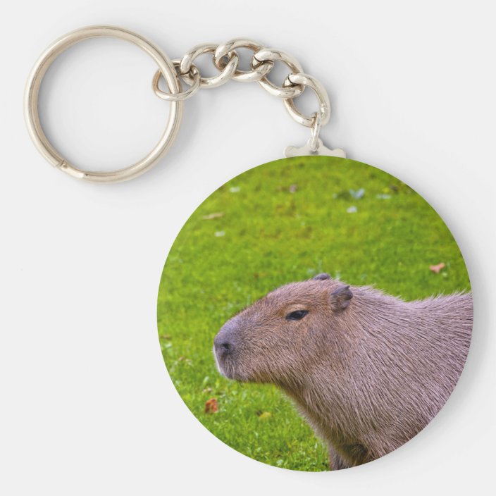 Amazing Animal Capybara Key Ring | Zazzle.co.uk