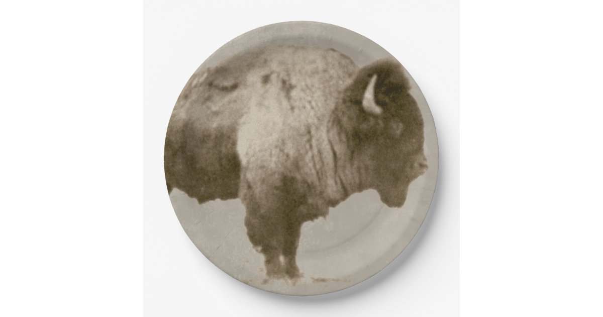 American Bison. Paper Plate | Zazzle
