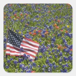 Bonnet Stickers & Labels | Zazzle UK