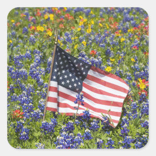 Bonnet Stickers & Labels | Zazzle UK