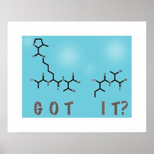 Amino Acids Posters & Prints | Zazzle UK