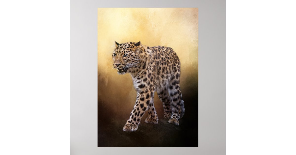 Amur leopard poster | Zazzle