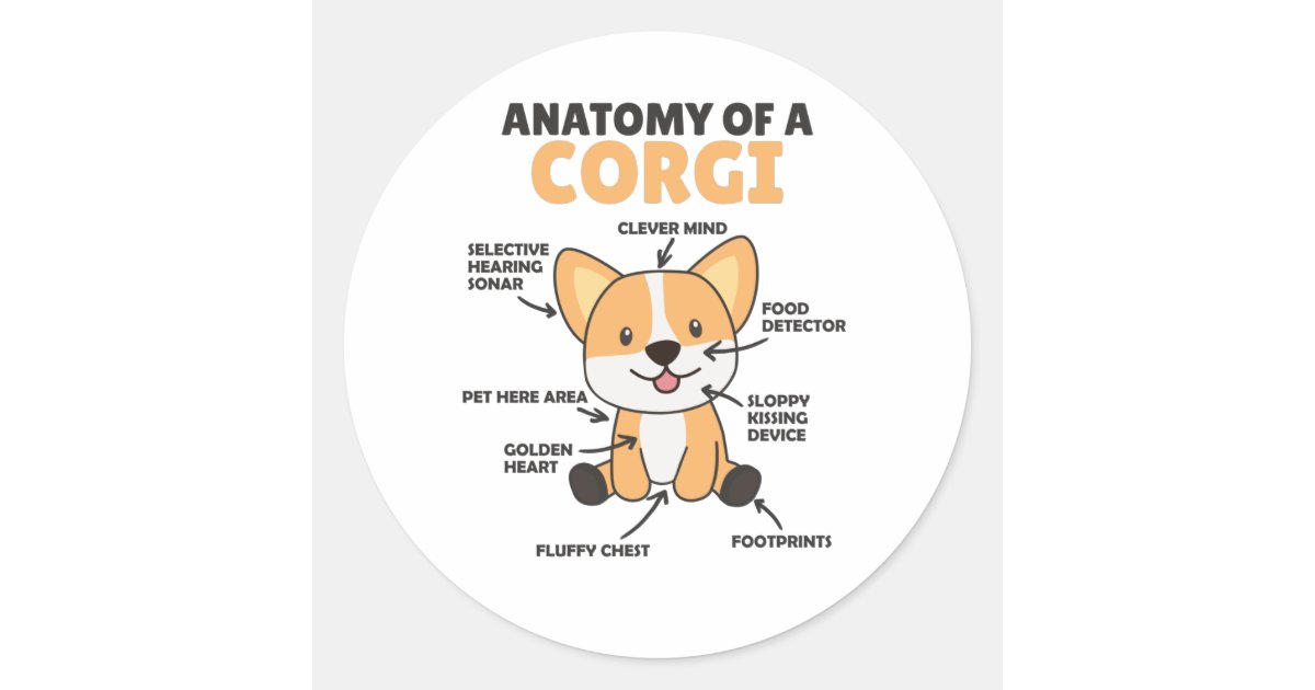 Anatomy Of A Corgi Cute Dogs Funny Puppy Classic Round Sticker | Zazzle