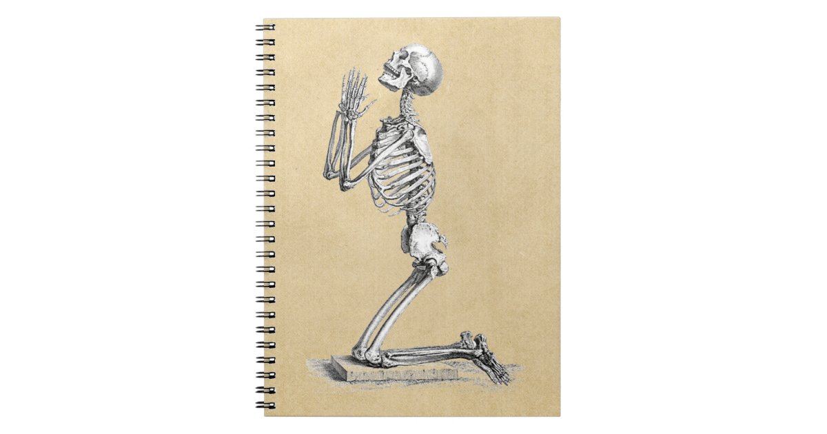 Anatomy Skeleton Illustration Notebook | Zazzle