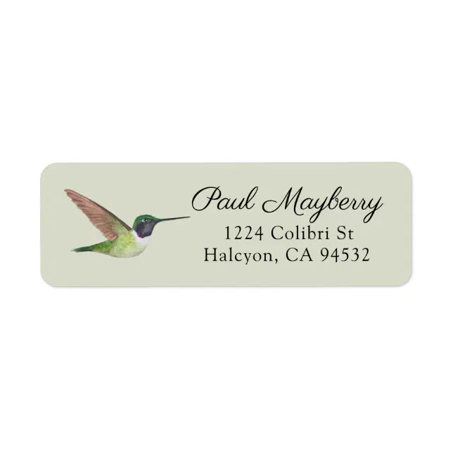 Anna's Hummingbird Return Address Label | Zazzle