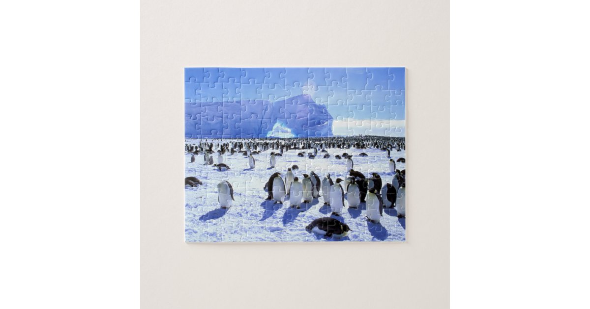 Antarctica, Antarctic Peninsula, Weddell Sea, 5 Jigsaw Puzzle | Zazzle