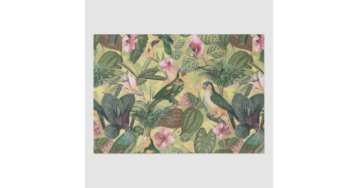 Antique Colourful Parrots Tropical Jungle Pattern Tissue Paper | Zazzle