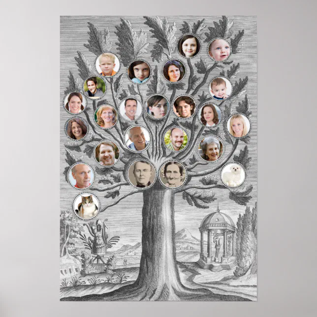 Antique Family Tree Insert Your Own Names & Photos Poster | Zazzle
