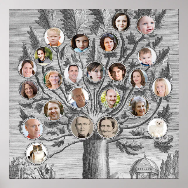 Antique Family Tree Insert Your Own Names & Photos Poster | Zazzle