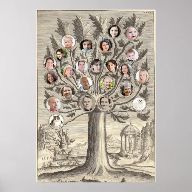 Antique Family Tree Insert Your Own Names & Photos Poster | Zazzle