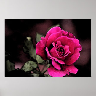 Beautiful Vintage Roses Posters & Prints | Zazzle.co.uk