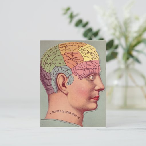 antique Mind Brain Map Phrenology head Postcard | Zazzle