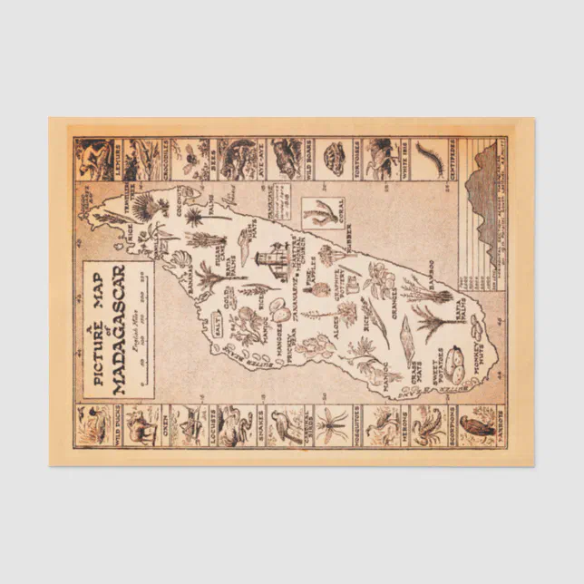 Antique Picture Map of Madagascar Tropical Island Tissue Paper | Zazzle