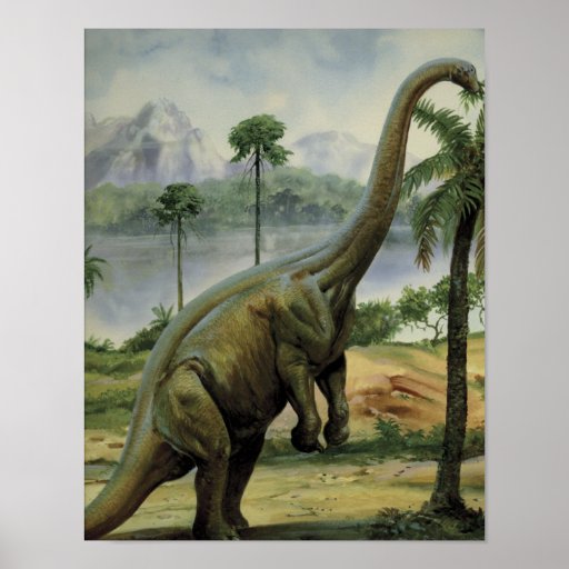 Apatosaurus (Brontosaurus) Eating Illustration Poster | Zazzle