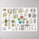 Applied Kinesiology Chiropractic Osteopath Poster | Zazzle