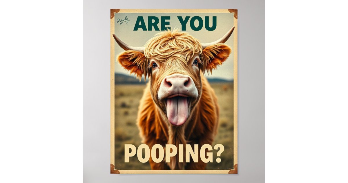 Are You Pooping? Funny Highland Cow, Cow Art Poster | Zazzle