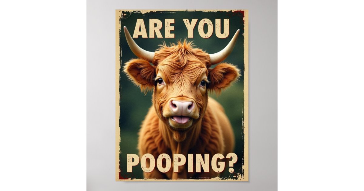 Are You Pooping? Funny Highland Cow, Cow Art Poster | Zazzle
