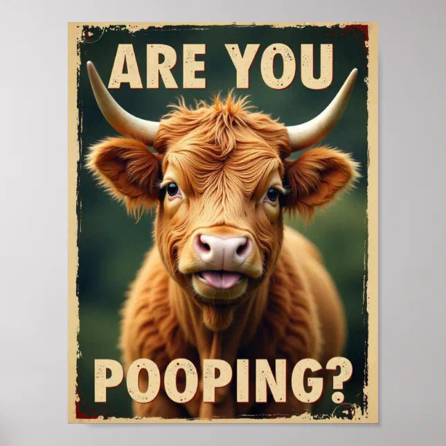 Are You Pooping? Funny Highland Cow, Cow Art Poster | Zazzle