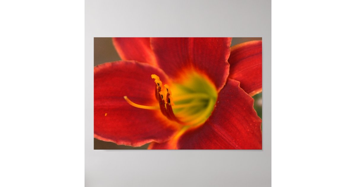 Art by Augle, Poster | Zazzle