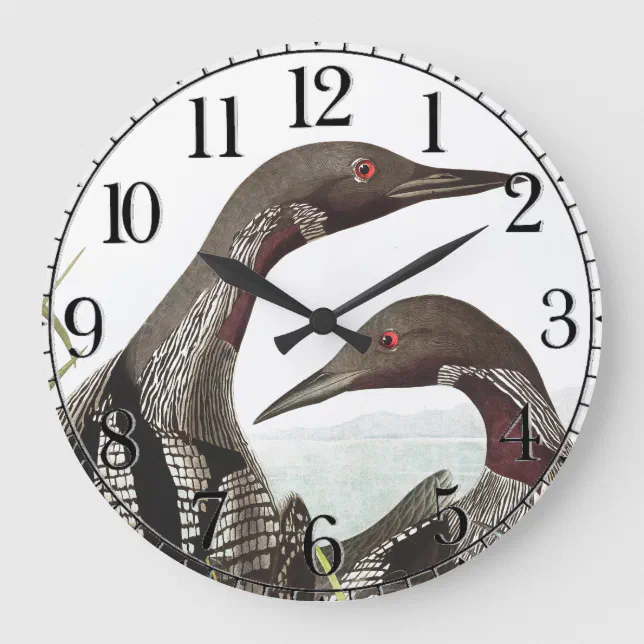 Audubon Loon Diver Birds Animal Wall Clock | Zazzle
