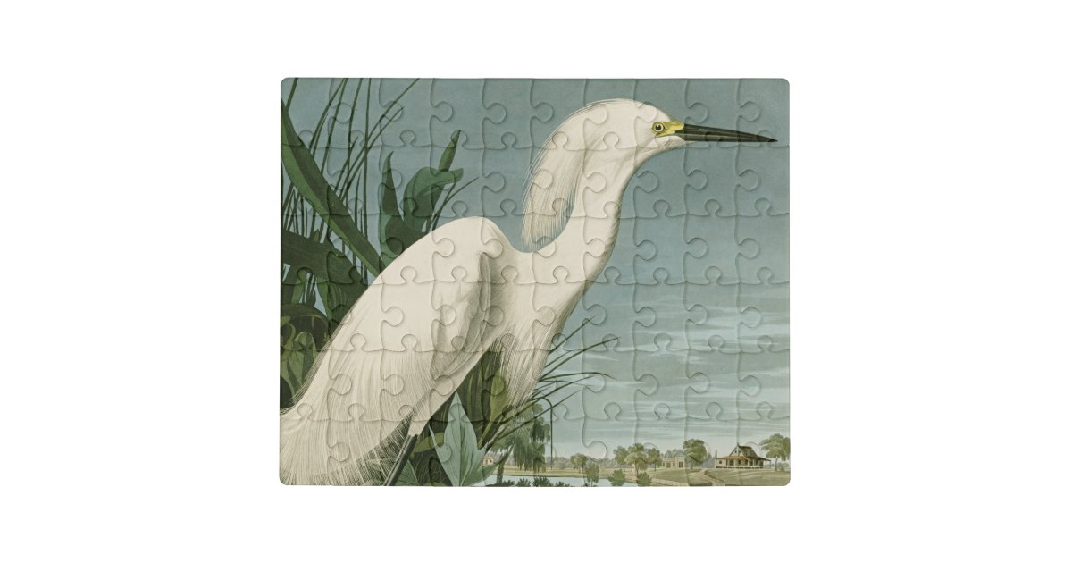 Audubon Snowy Heron White Egret Bird Birding Jigsaw Puzzle | Zazzle