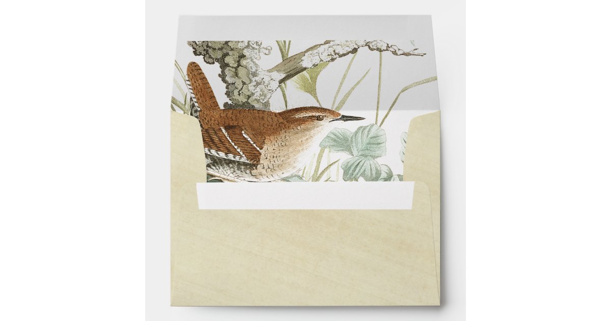 Audubon Wren Bird Wildlife Rice Paper Envelope | Zazzle